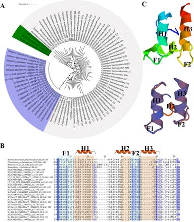 Research | Oklahoma State University
